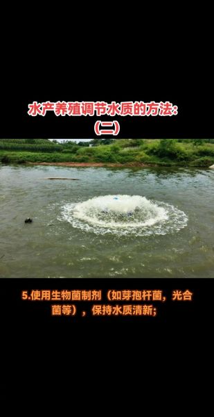 草虾养殖技术_水质问题怎么解决-第1张图片-山城妙识