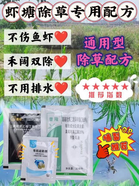 草虾养殖技术_水质问题怎么解决-第2张图片-山城妙识