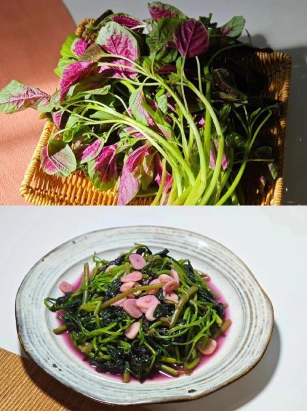 苋菜怎么做好吃_苋菜的做法大全-第1张图片-山城妙识 苋菜怎么做好吃_苋菜的做法大全-第1张图片-山城妙识