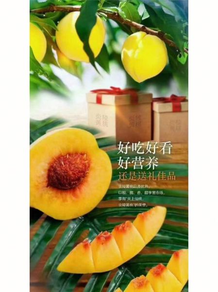 黄桃的营养价值_黄桃的功效与作用-第3张图片-山城妙识