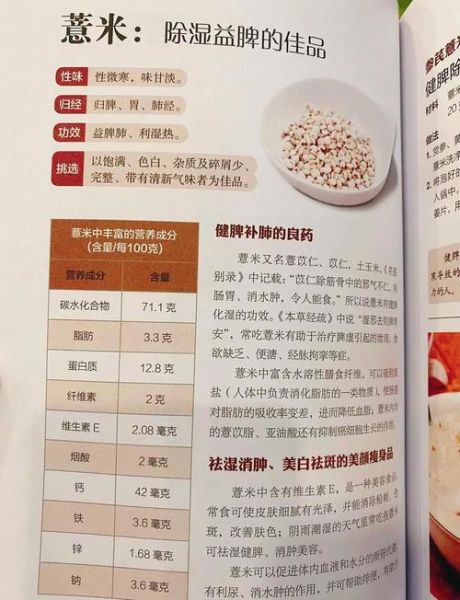 薏米减肥怎么吃_薏米减肥多久见效-第1张图片-山城妙识