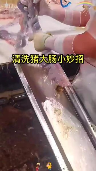 猪大肠怎么清洗_猪大肠的做法大全-第2张图片-山城妙识