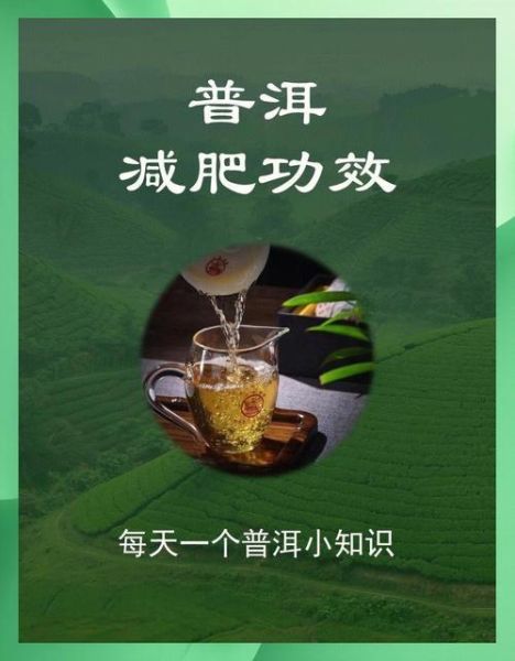 长期喝普洱茶能减肥吗_普洱茶减肥原理-第2张图片-山城妙识 长期喝普洱茶能减肥吗_普洱茶减肥原理-第2张图片-山城妙识