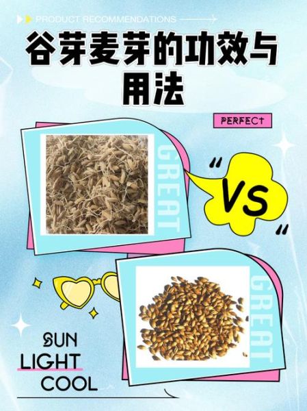 谷芽的功效与作用_谷芽怎么泡水喝-第2张图片-山城妙识