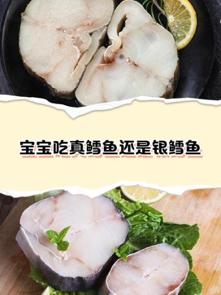 鳕鱼和银鳕鱼的区别_哪个更适合宝宝吃-第1张图片-山城妙识 鳕鱼和银鳕鱼的区别_哪个更适合宝宝吃-第1张图片-山城妙识