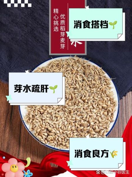 谷芽的功效与作用_谷芽怎么泡水喝-第1张图片-山城妙识