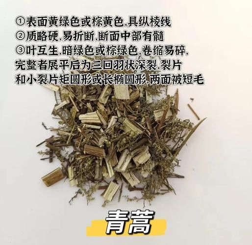 阴虚火旺怎么调理最快_阴虚火旺吃什么药-第1张图片-山城妙识 阴虚火旺怎么调理最快_阴虚火旺吃什么药-第1张图片-山城妙识