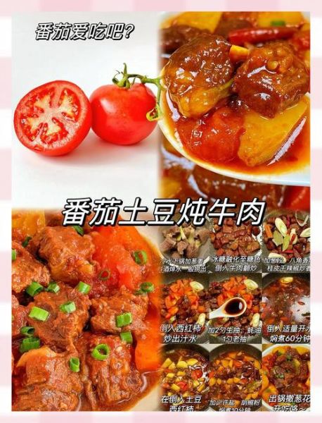 西红柿土豆炖牛肉怎么做_西红柿土豆炖牛肉的家常做法-第3张图片-山城妙识