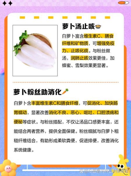 白萝卜粉丝汤怎么做_白萝卜粉丝汤的功效与禁忌-第1张图片-山城妙识 白萝卜粉丝汤怎么做_白萝卜粉丝汤的功效与禁忌-第1张图片-山城妙识