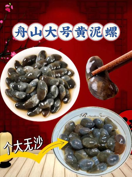 黄螺养殖技术_黄螺养殖利润怎么样-第3张图片-山城妙识 黄螺养殖技术_黄螺养殖利润怎么样-第3张图片-山城妙识