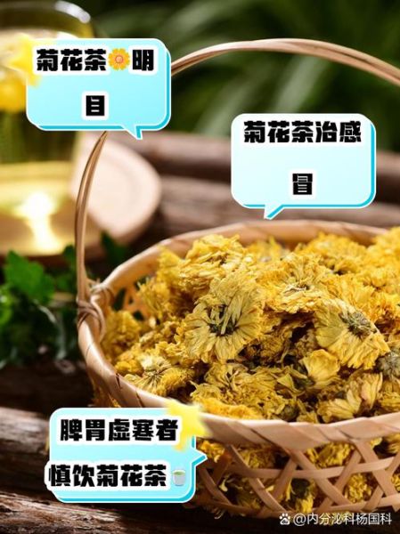 菊花茶配什么喝最好_菊花茶搭配禁忌-第3张图片-山城妙识 菊花茶配什么喝最好_菊花茶搭配禁忌-第3张图片-山城妙识