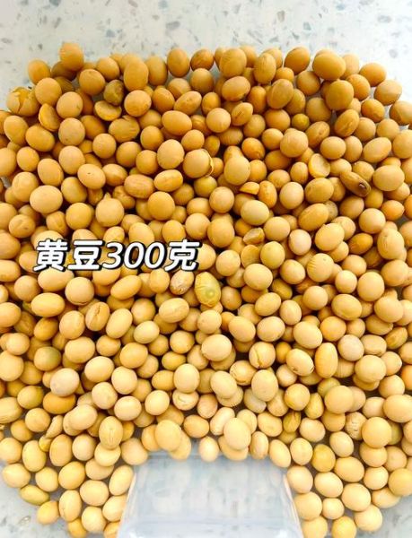 黄豆粉怎么做_黄豆粉的做法大全家常简单-第2张图片-山城妙识 黄豆粉怎么做_黄豆粉的做法大全家常简单-第2张图片-山城妙识