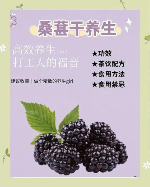 经常吃桑葚干有什么好处_桑葚干的功效与作用-第1张图片-山城妙识