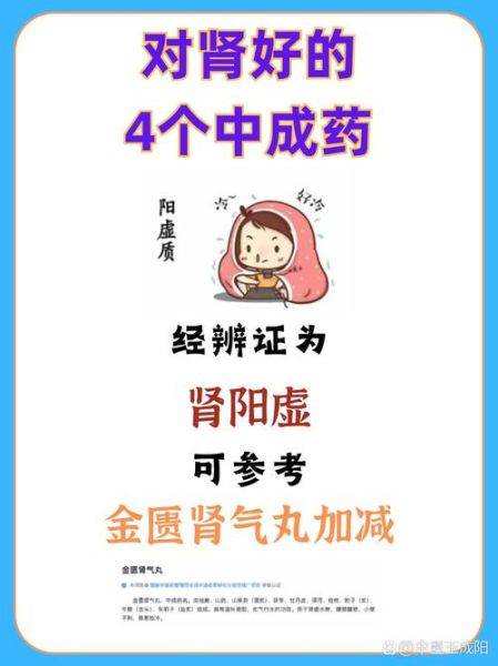 肾阳虚吃什么药_肾阳虚怎么调理-第2张图片-山城妙识 肾阳虚吃什么药_肾阳虚怎么调理-第2张图片-山城妙识