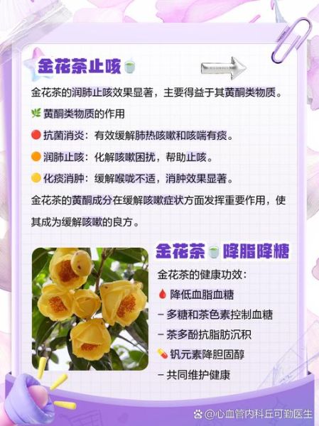 金花茶的功效与作用_金花茶适合什么人喝-第2张图片-山城妙识