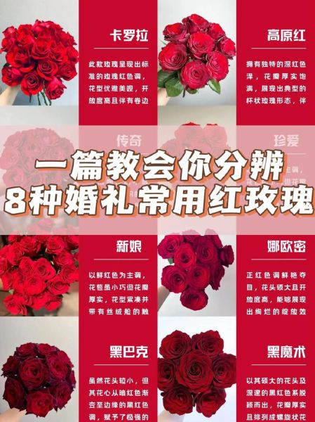 情人节玫瑰花图片真实_如何挑选不翻车-第1张图片-山城妙识