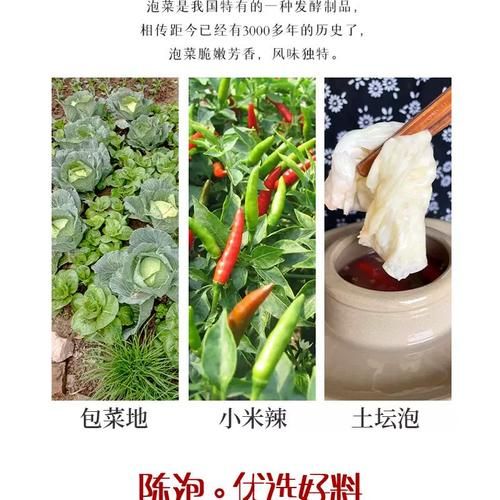 重庆泡菜怎么腌制_正宗重庆泡菜腌制方法-第1张图片-山城妙识 重庆泡菜怎么腌制_正宗重庆泡菜腌制方法-第1张图片-山城妙识