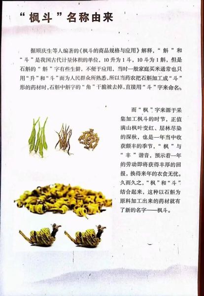 霍山石斛的功效与作用_霍山石斛适合什么人吃-第2张图片-山城妙识