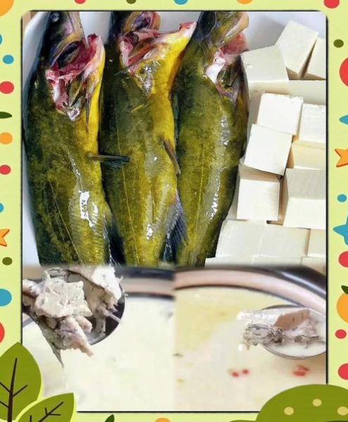 黄辣丁豆腐汤怎么做好吃_黄辣丁豆腐汤的做法窍门-第3张图片-山城妙识 黄辣丁豆腐汤怎么做好吃_黄辣丁豆腐汤的做法窍门-第3张图片-山城妙识