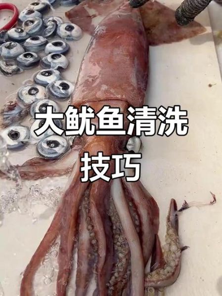 鱿鱼头怎么处理才干净_去内脏技巧-第1张图片-山城妙识