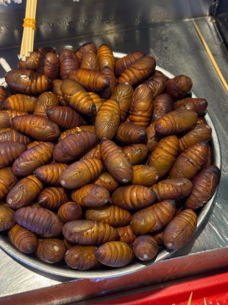 蝉蛹一天吃几个最佳_蝉蛹吃多了会怎样-第2张图片-山城妙识