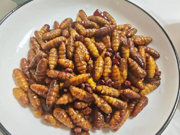 蝉蛹一天吃几个最佳_蝉蛹吃多了会怎样-第1张图片-山城妙识