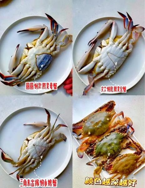 梭子蟹渔汛什么时候_梭子蟹几月份最肥-第3张图片-山城妙识