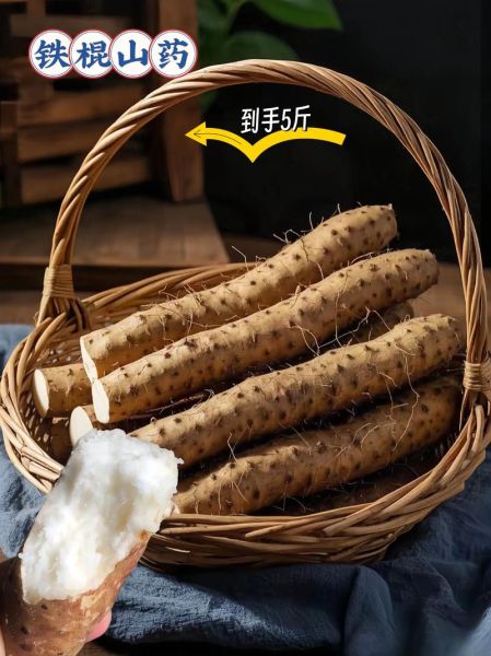 铁棍山药多少钱一斤_正宗温县铁棍山药价格行情-第2张图片-山城妙识