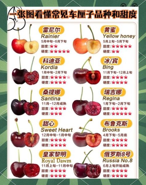 车厘子哪个品种最好吃_十大车厘子品种排行-第3张图片-山城妙识