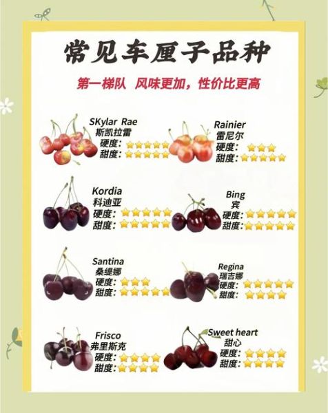 车厘子哪个品种最好吃_十大车厘子品种排行-第2张图片-山城妙识