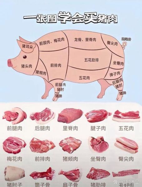 猪肉怎么选才新鲜_猪肉哪个部位最好吃-第3张图片-山城妙识 猪肉怎么选才新鲜_猪肉哪个部位最好吃-第3张图片-山城妙识
