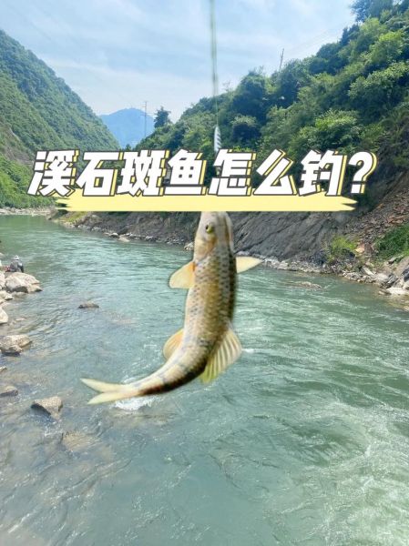 淡水石斑鱼怎么钓_淡水石斑鱼钓法技巧-第1张图片-山城妙识 淡水石斑鱼怎么钓_淡水石斑鱼钓法技巧-第1张图片-山城妙识