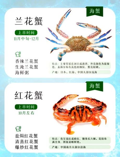 青蟹和梭子蟹的区别是什么_哪个更好吃-第2张图片-山城妙识 青蟹和梭子蟹的区别是什么_哪个更好吃-第2张图片-山城妙识