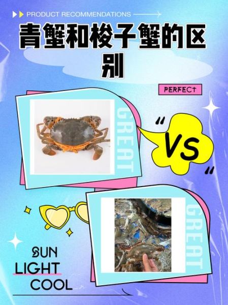 青蟹和梭子蟹的区别是什么_哪个更好吃-第1张图片-山城妙识 青蟹和梭子蟹的区别是什么_哪个更好吃-第1张图片-山城妙识