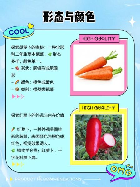 红萝卜和胡萝卜的区别_哪个更有营养-第1张图片-山城妙识 红萝卜和胡萝卜的区别_哪个更有营养-第1张图片-山城妙识