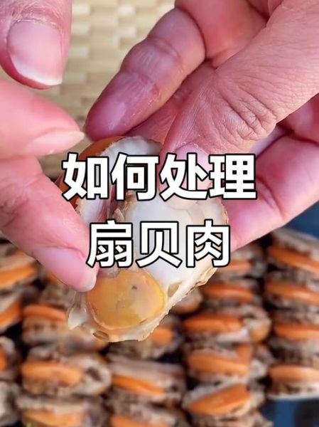 无壳冷冻扇贝肉怎么清洗_冷冻扇贝肉清洗视频教程-第1张图片-山城妙识 无壳冷冻扇贝肉怎么清洗_冷冻扇贝肉清洗视频教程-第1张图片-山城妙识