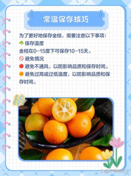 金橘怎么保存不会坏_金橘可以放冰箱吗-第2张图片-山城妙识 金橘怎么保存不会坏_金橘可以放冰箱吗-第2张图片-山城妙识