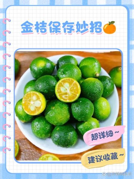 金橘怎么保存不会坏_金橘可以放冰箱吗-第1张图片-山城妙识 金橘怎么保存不会坏_金橘可以放冰箱吗-第1张图片-山城妙识