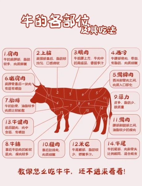 牛排哪个部位最好吃_牛排排名前10名-第1张图片-山城妙识