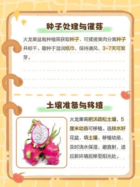 火龙果什么时候种_火龙果怎么种才高产-第1张图片-山城妙识 火龙果什么时候种_火龙果怎么种才高产-第1张图片-山城妙识