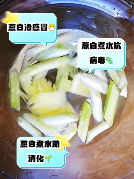 葱白煮水有什么功效_葱白怎么吃效果最好-第2张图片-山城妙识 葱白煮水有什么功效_葱白怎么吃效果最好-第2张图片-山城妙识