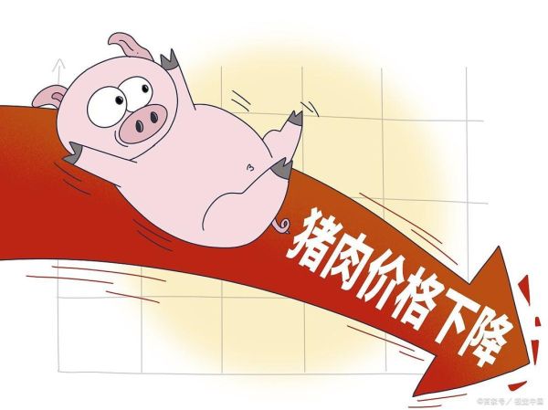 猪肉价格为何一降再降_未来还会再跌吗-第1张图片-山城妙识 猪肉价格为何一降再降_未来还会再跌吗-第1张图片-山城妙识