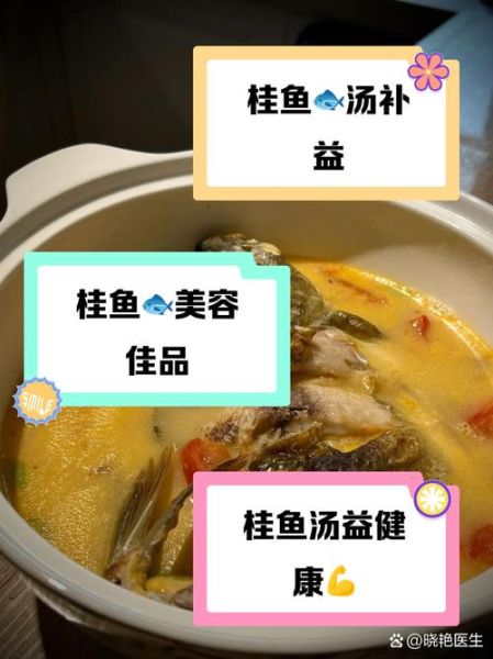 清炖桂鱼汤怎么做_桂鱼汤去腥技巧-第2张图片-山城妙识 清炖桂鱼汤怎么做_桂鱼汤去腥技巧-第2张图片-山城妙识