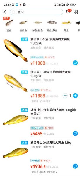 黄鱼多少钱一斤2021_黄鱼价格为什么上涨-第1张图片-山城妙识