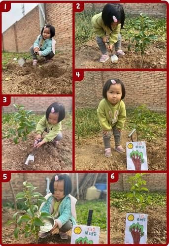 草莓丝瓜小蝌蚪下载大全_如何安全获取最新版本-第2张图片-山城妙识