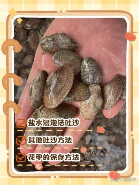 花甲吐沙放什么_花甲怎么快速吐沙-第1张图片-山城妙识 花甲吐沙放什么_花甲怎么快速吐沙-第1张图片-山城妙识