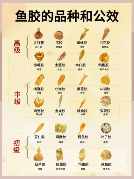 金钱鳘鱼胶一斤多少钱_如何辨别真假-第1张图片-山城妙识 金钱鳘鱼胶一斤多少钱_如何辨别真假-第1张图片-山城妙识