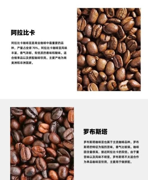 阿拉比卡咖啡豆和罗布斯塔咖啡豆的区别_哪个更好喝-第2张图片-山城妙识 阿拉比卡咖啡豆和罗布斯塔咖啡豆的区别_哪个更好喝-第2张图片-山城妙识
