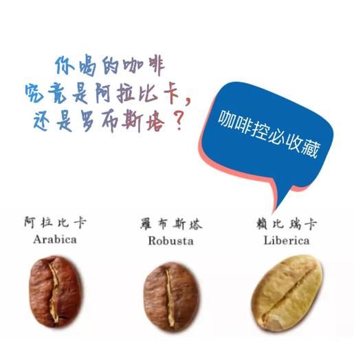 阿拉比卡咖啡豆和罗布斯塔咖啡豆的区别_哪个更好喝-第3张图片-山城妙识 阿拉比卡咖啡豆和罗布斯塔咖啡豆的区别_哪个更好喝-第3张图片-山城妙识