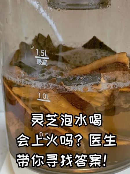 灵芝泡水可以天天喝吗_长期饮用注意事项-第1张图片-山城妙识